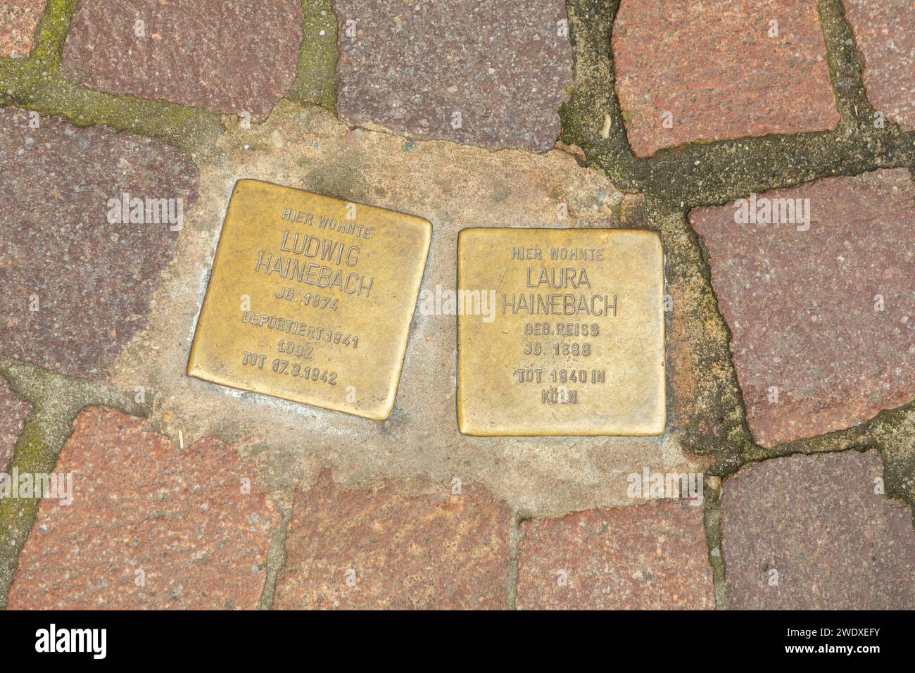 Seligenstadt, Germany - Januar 5, 2024: Stolpersteine project, stumbing ...