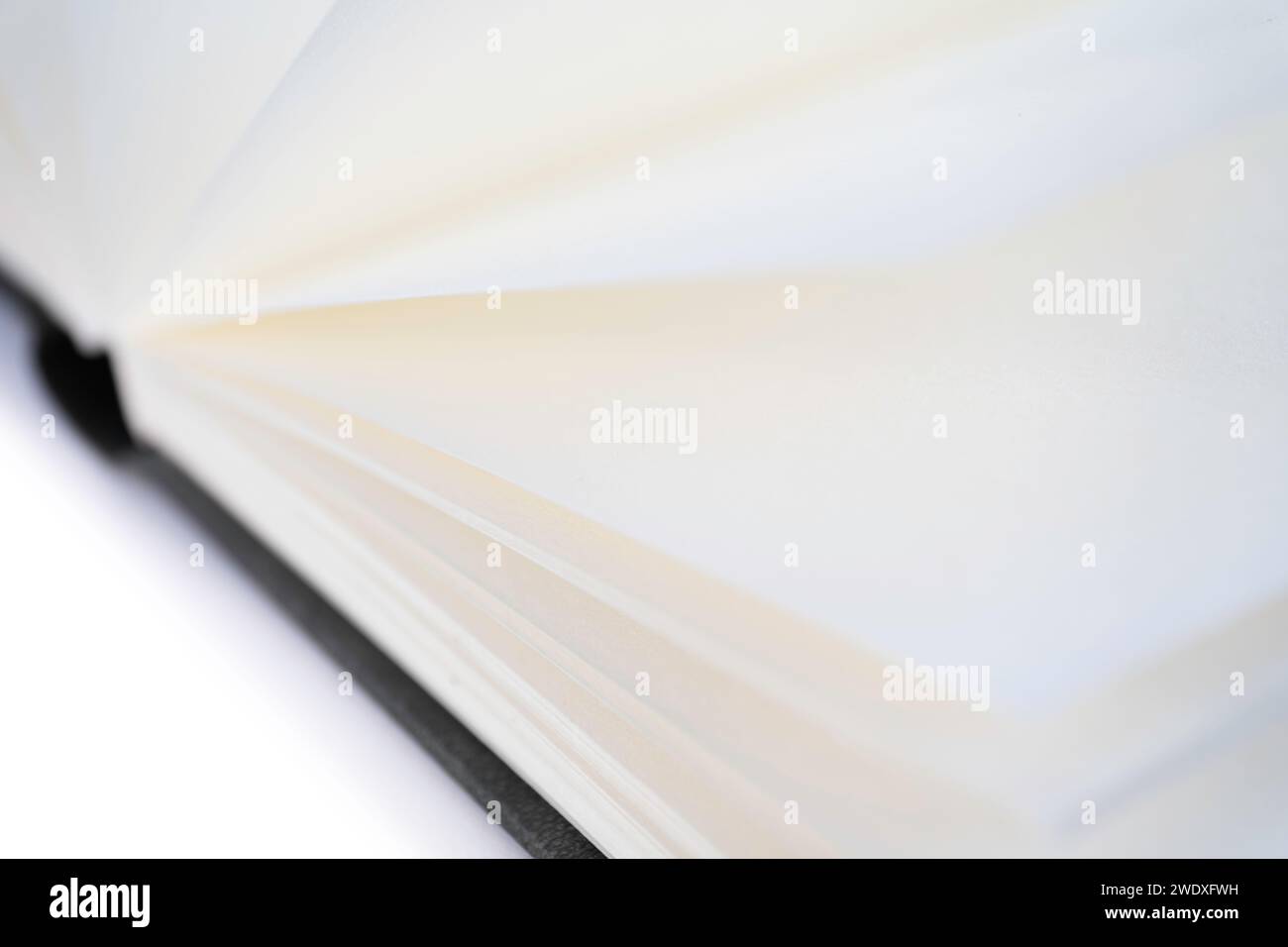 Open book with white blank half-open pages and a black linen cover, on ...
