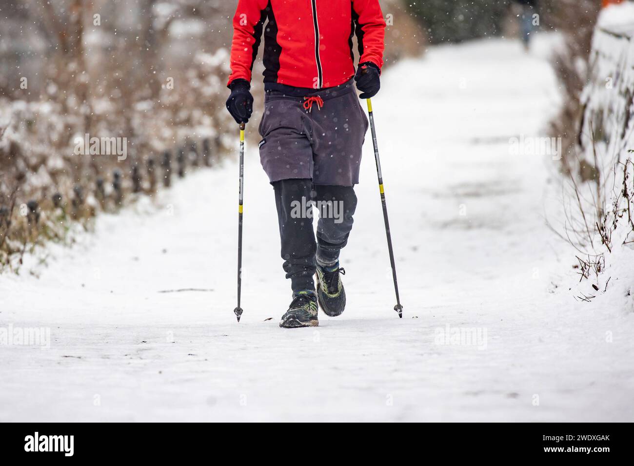 nach einem Schneefall in Berlin am 16. Januar 2024. Schnee in Berlin ...