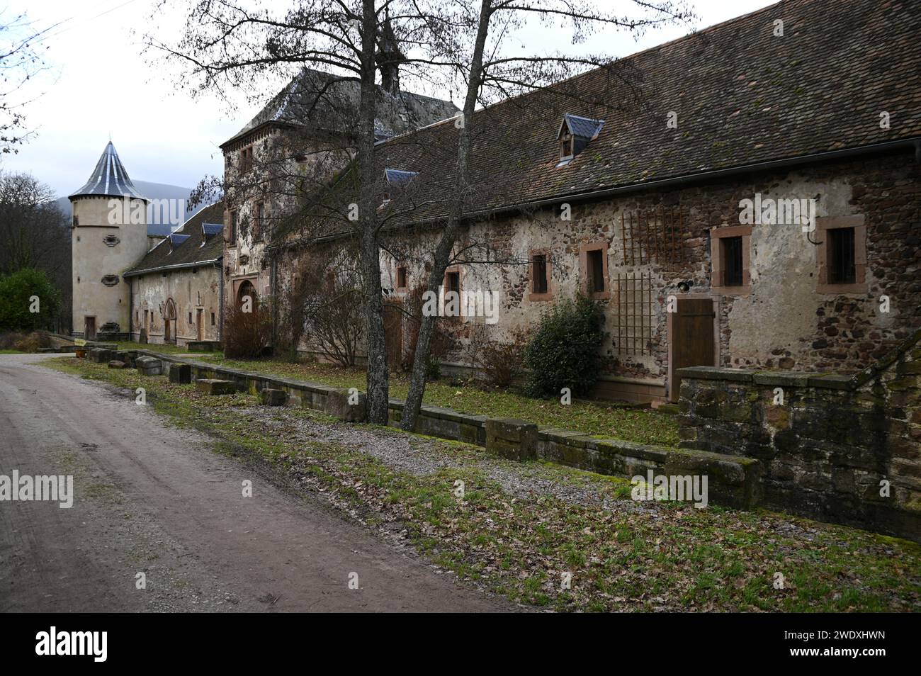 Rural landscape with scenic view of Château de Thanvillé a historic ...