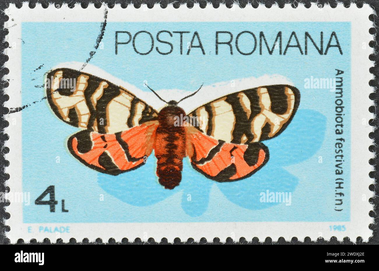 Cancelled postage stamp printed by Romania, that shows Hebe Tiger Moth ...
