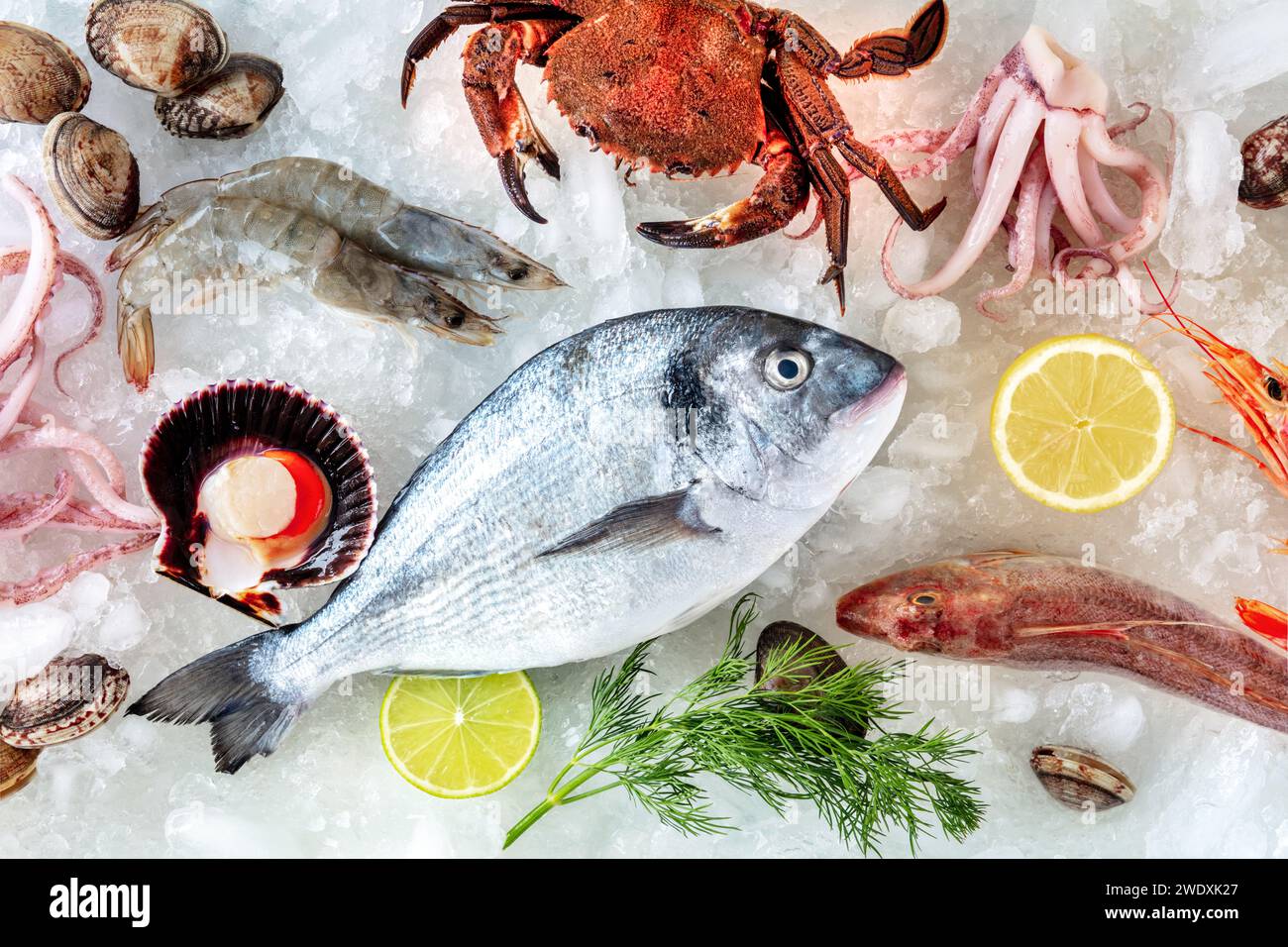 Seafood. Fresh fish and sea food on ice, shot from the top. Shellfish ...