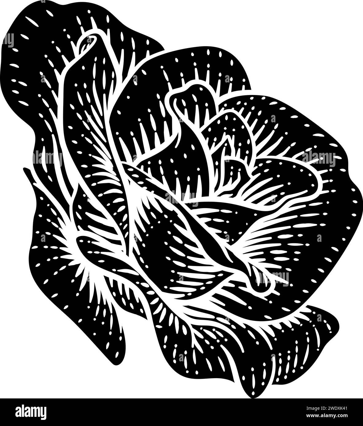 Rose Flower Design Woodcut Vintage Retro Style Stock Vector Image & Art ...