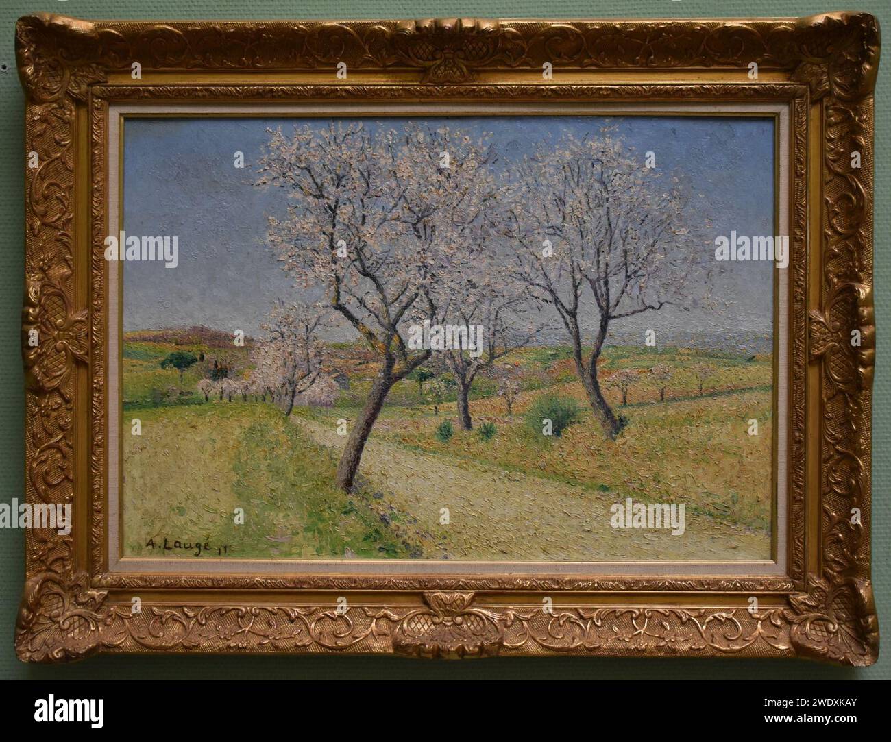 Achille lauge hi-res stock photography and images - Alamy