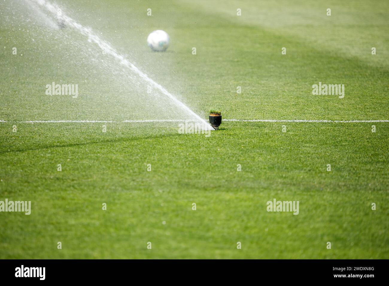 Watering the lawn water grass football field Stock Photo - Alamy