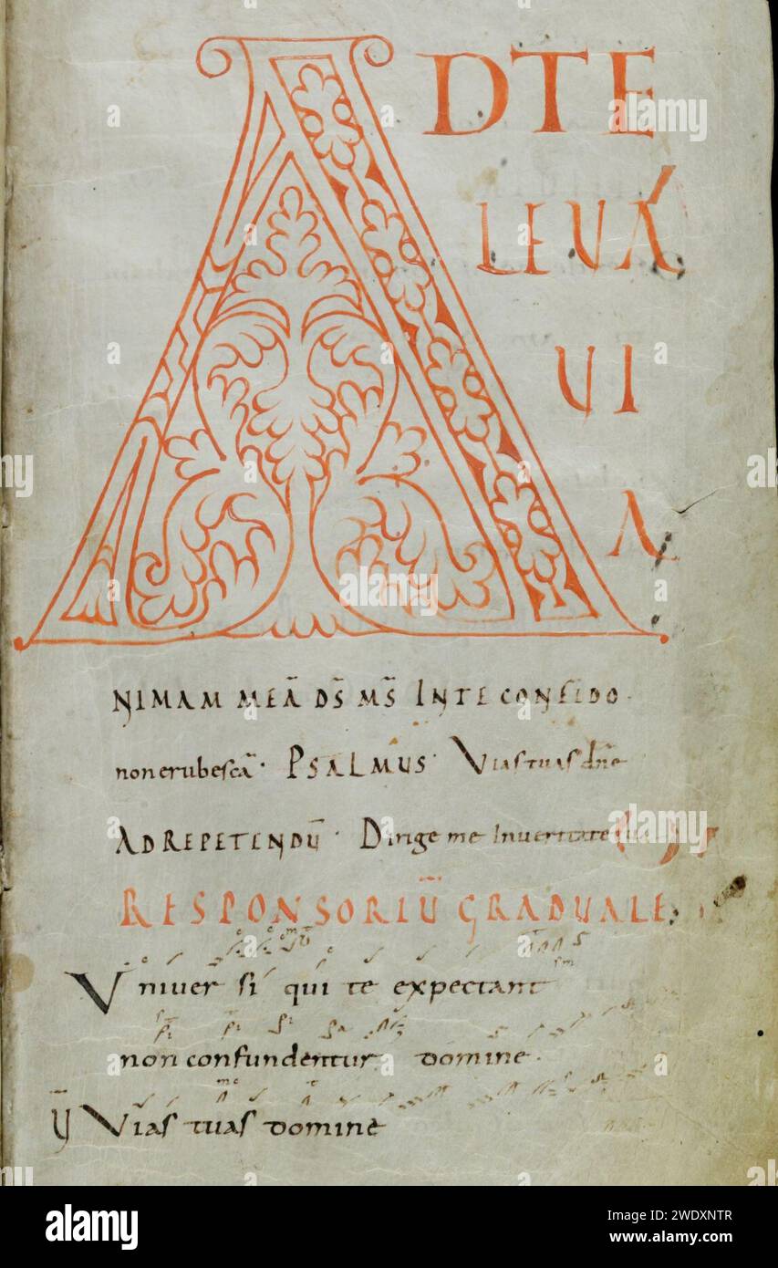 Ad te levavi trimmed Stock Photo - Alamy