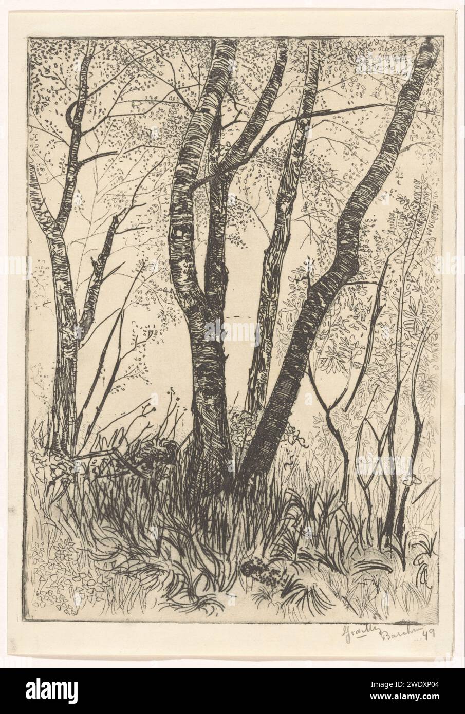 Trees in Hoog Gras, G. van der Mey, 1949 print paper etching trees ...
