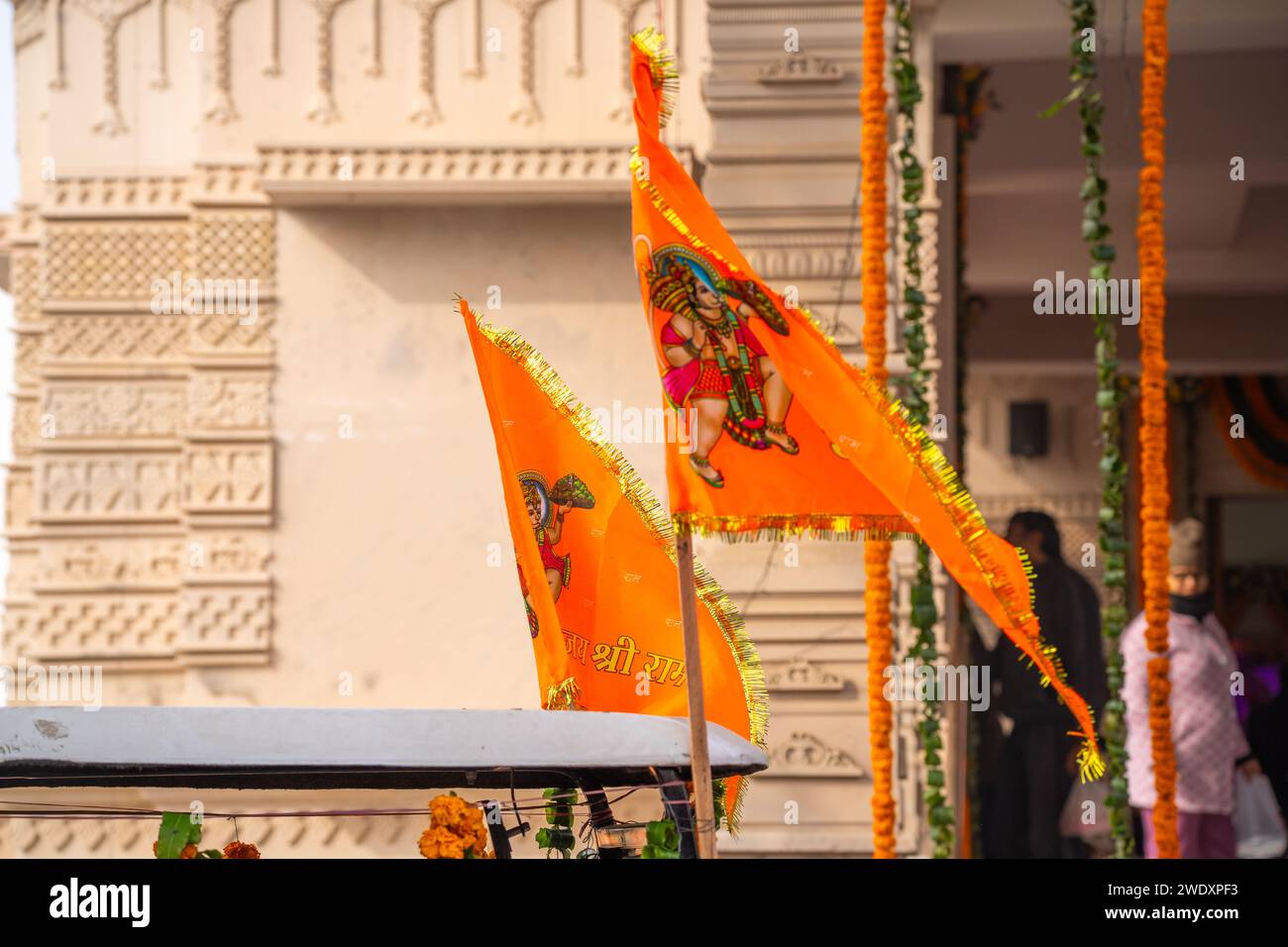 Zoomed shot showing crowd of people carrying flag celebrating the Pran ...