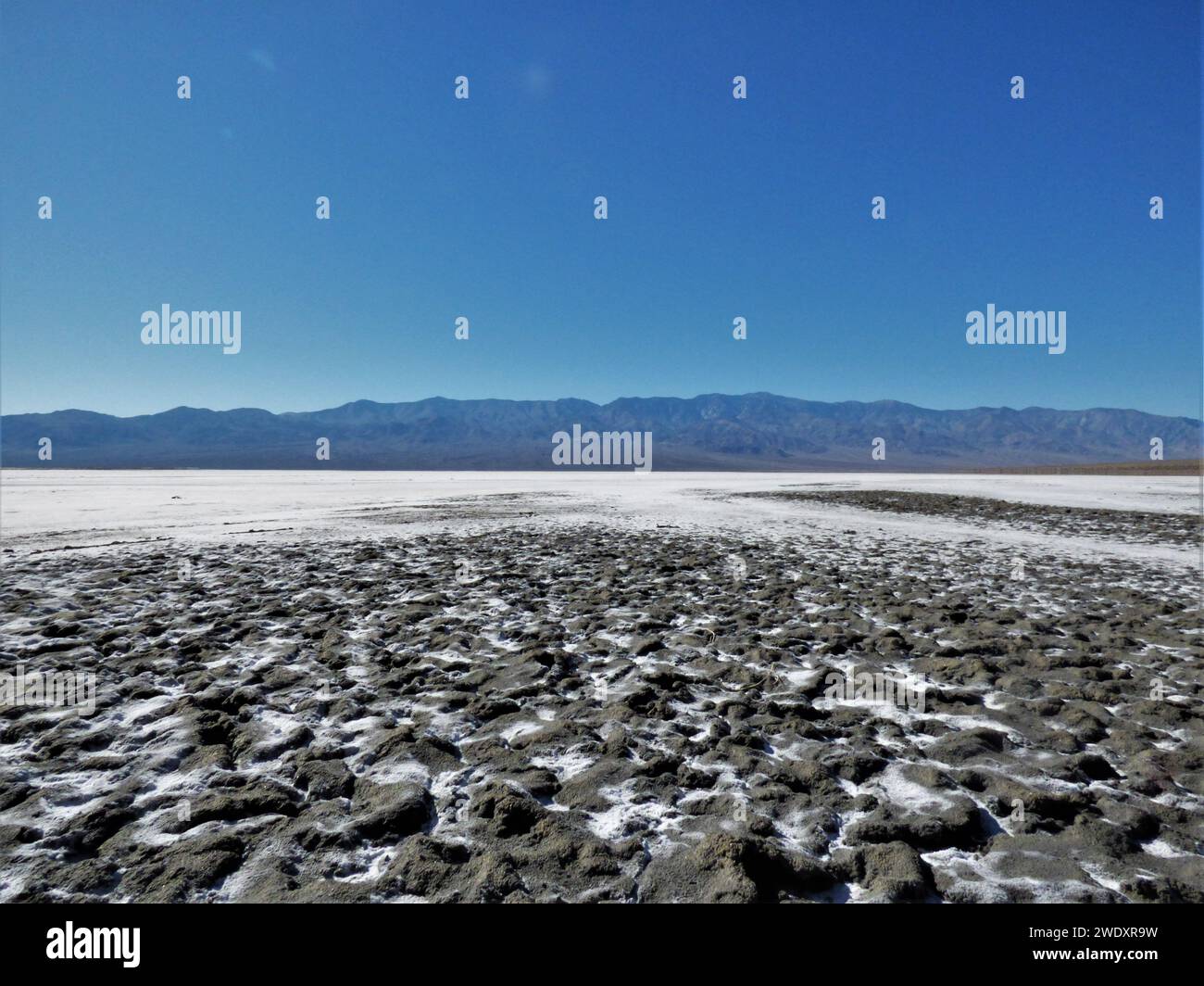 Desert salt crust patterns hi-res stock photography and images - Alamy