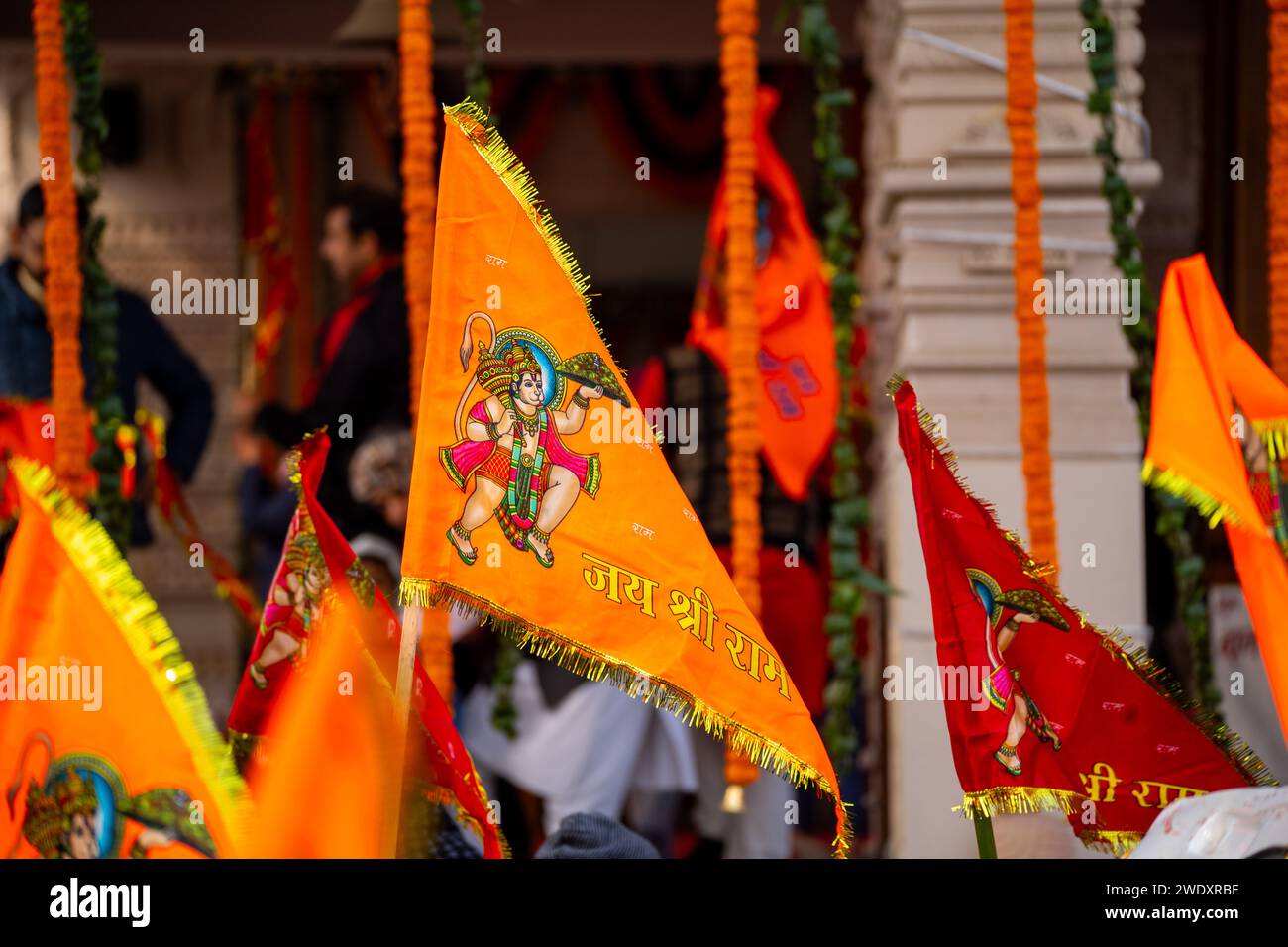 Zoomed shot showing crowd of people carrying flag celebrating the Pran ...