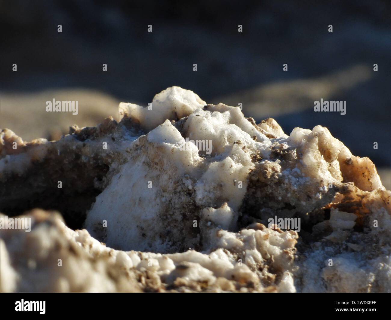 Close up crust salt hi-res stock photography and images - Alamy