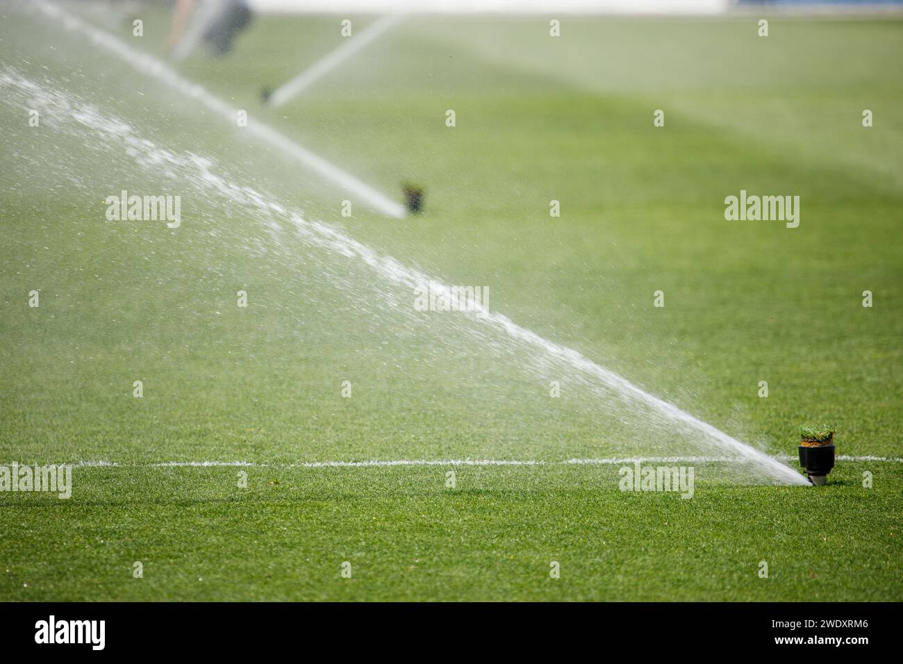 Watering the lawn water grass football field Stock Photo - Alamy