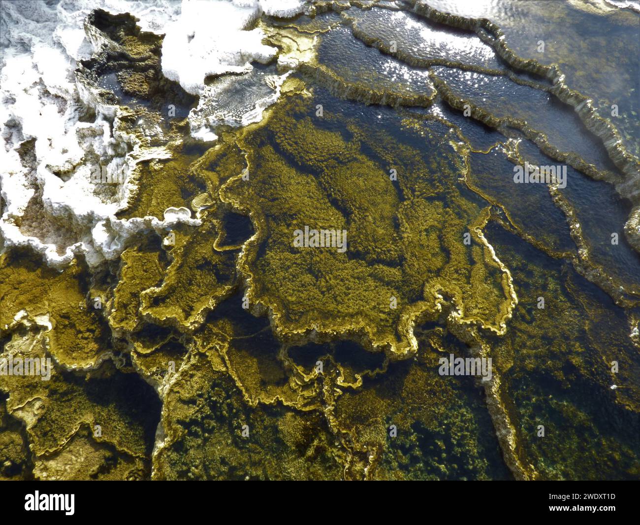 Aerial view yellowstones scenic grand hi-res stock photography and ...