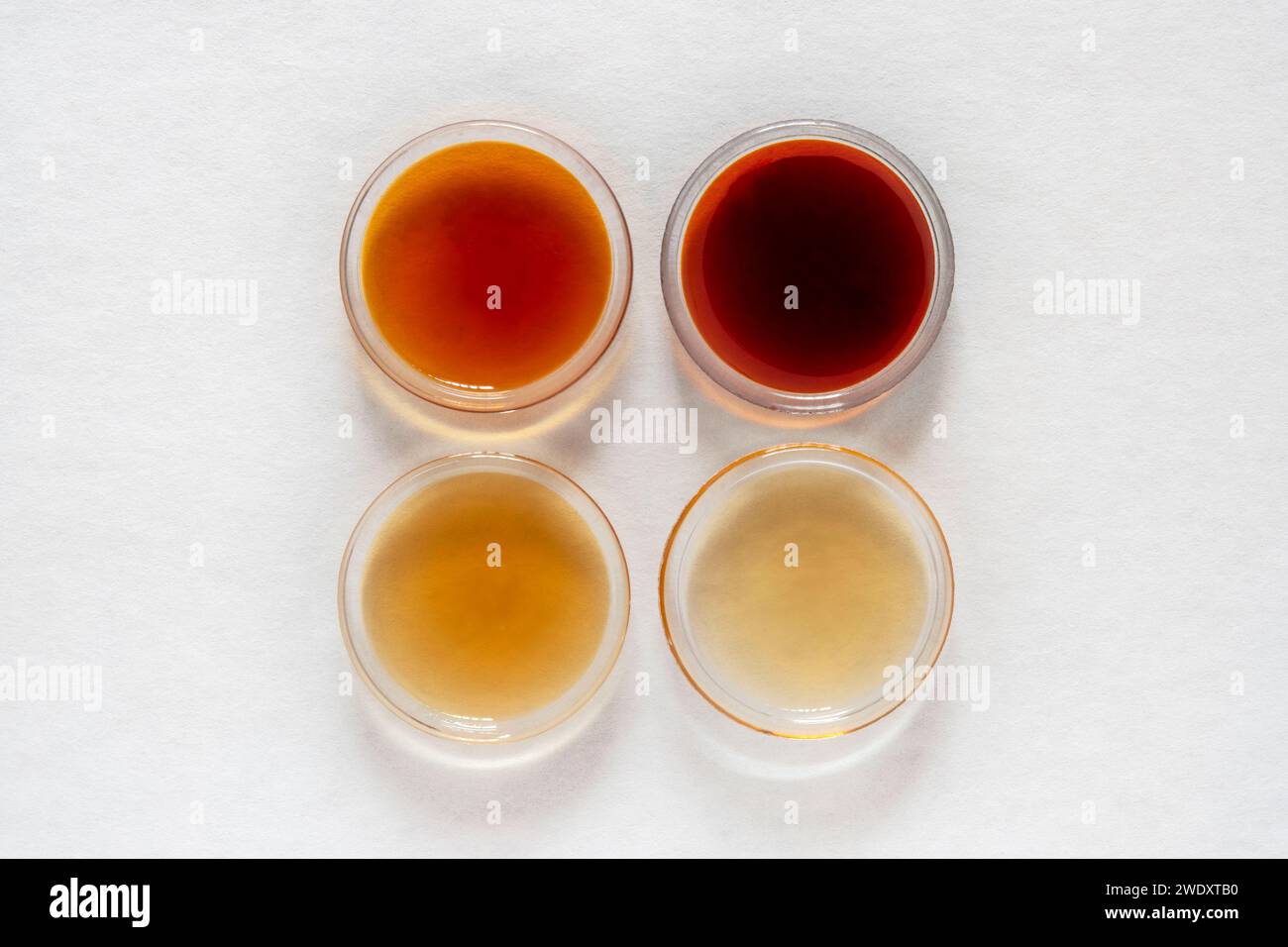 Different classes of maple syrups in different colours in glass dishes ...