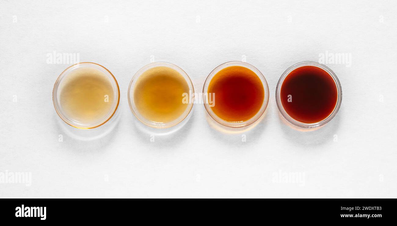 Different classes of maple syrups in different colours in glass dishes ...