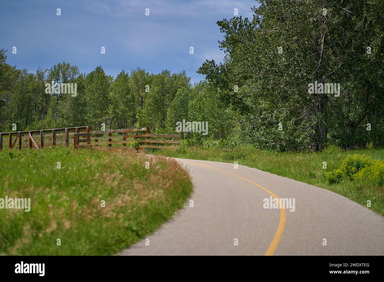 A path in a beautiful summer city park by the river Stock Photo - Alamy