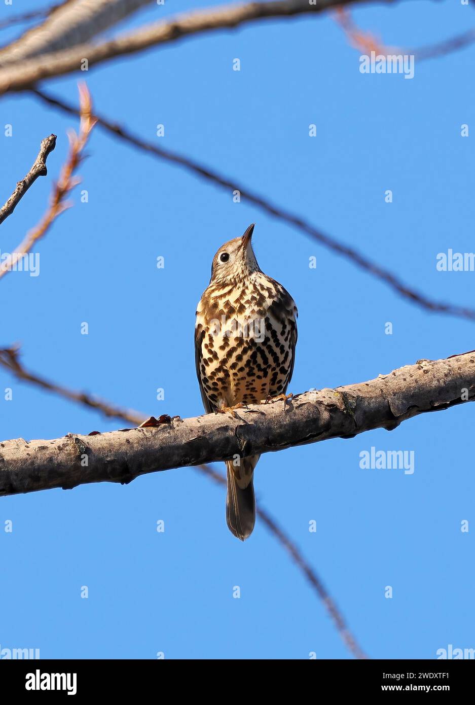 Lat 47 45862099 hi-res stock photography and images - Alamy