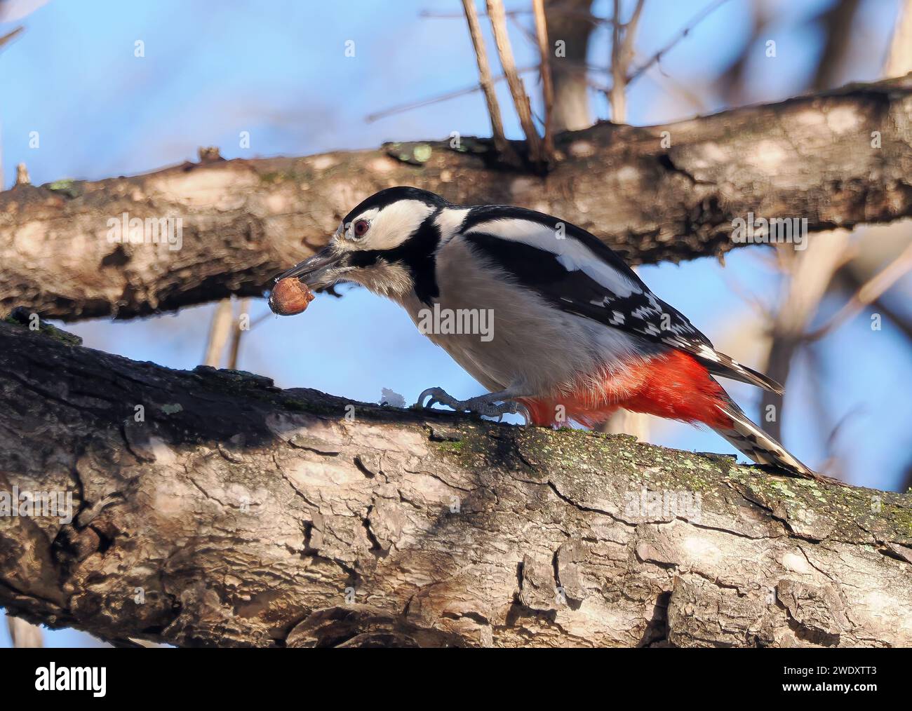 Lat 47 46284990 hi-res stock photography and images - Alamy