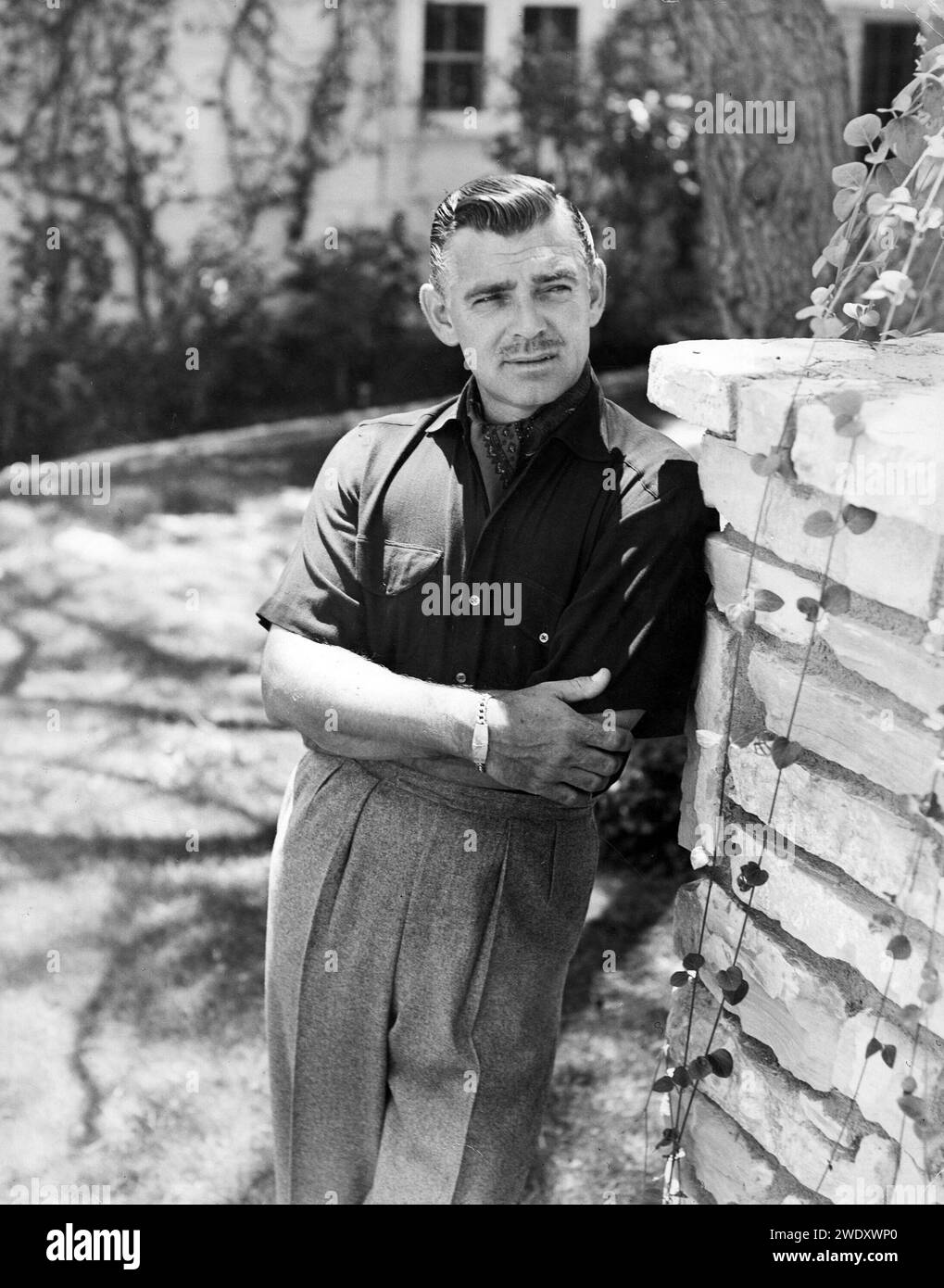 Mae De John Clark Gables CLARK GABLE' Images And/or Videos Results