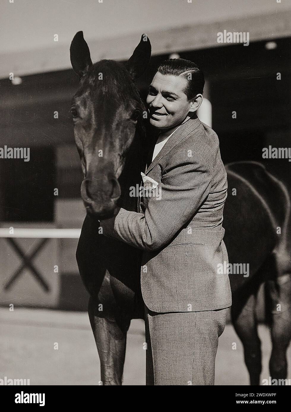 Clark Gable and a horse in Men In White by William Grimes (MGM, 1934 ...