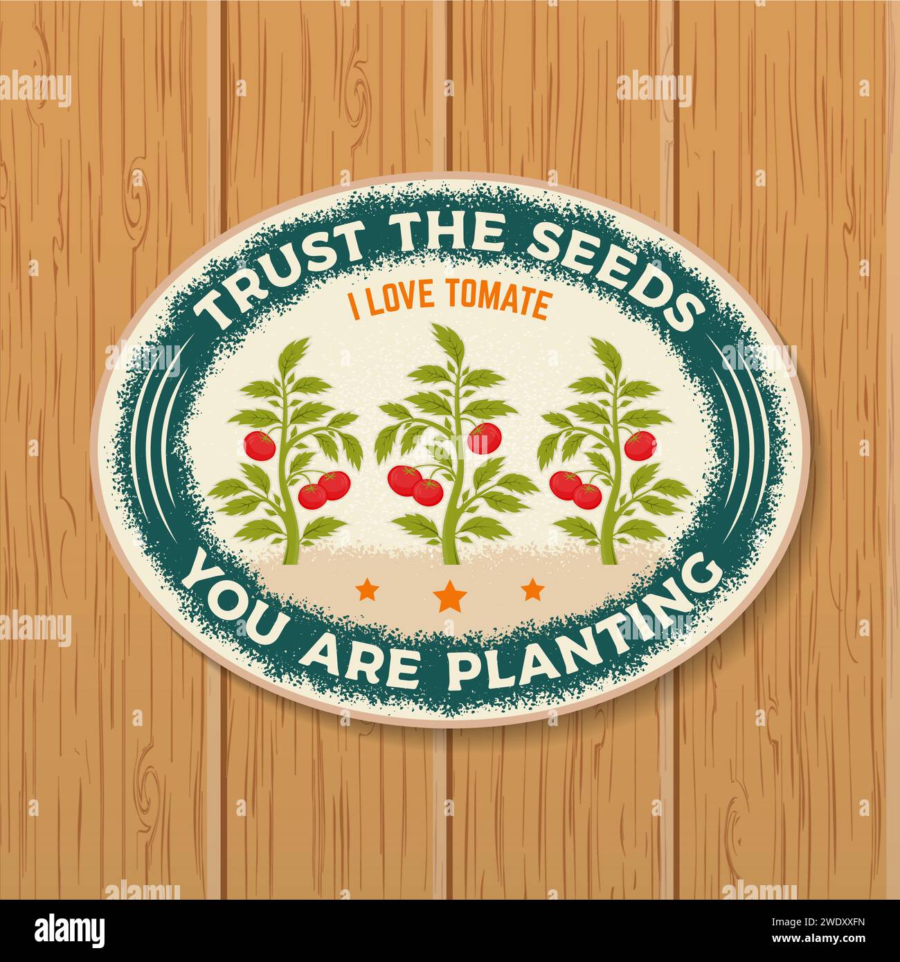 Tomato pot plant harvest Stock Vector Images - Alamy