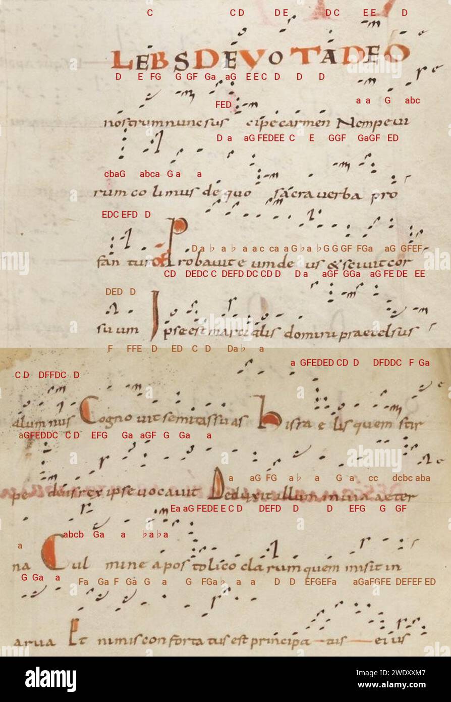 Tropus hi-res stock photography and images - Alamy