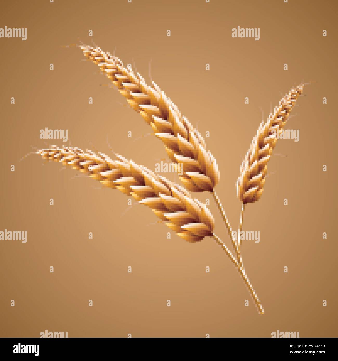 Paddy oats Stock Vector Images - Alamy