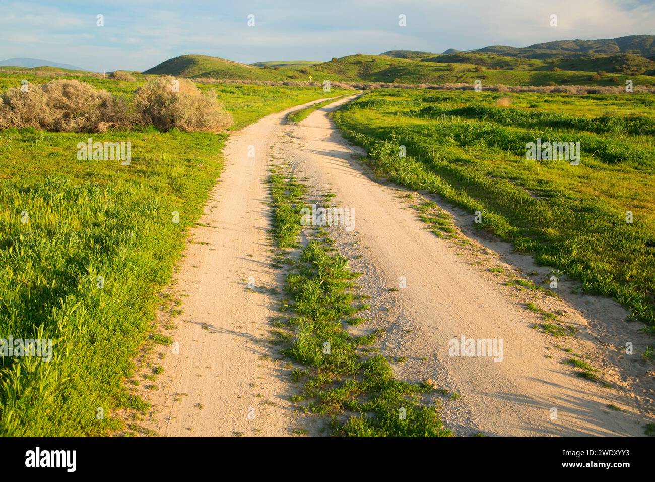 Ranch road, Carrizo Plain National Monument, California Stock Photo - Alamy