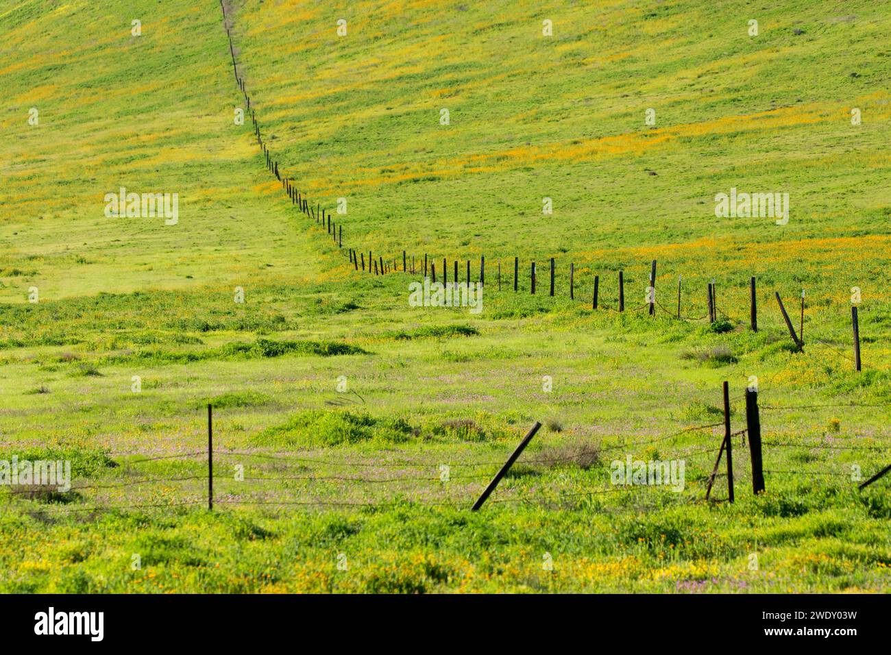 Ranch fence, Carrizo Plain National Monument, California Stock Photo ...