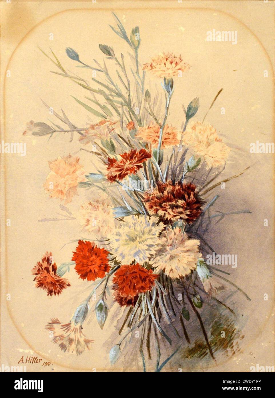 Adolf Hitler - Nelkenstrauss (1910 Stock Photo - Alamy