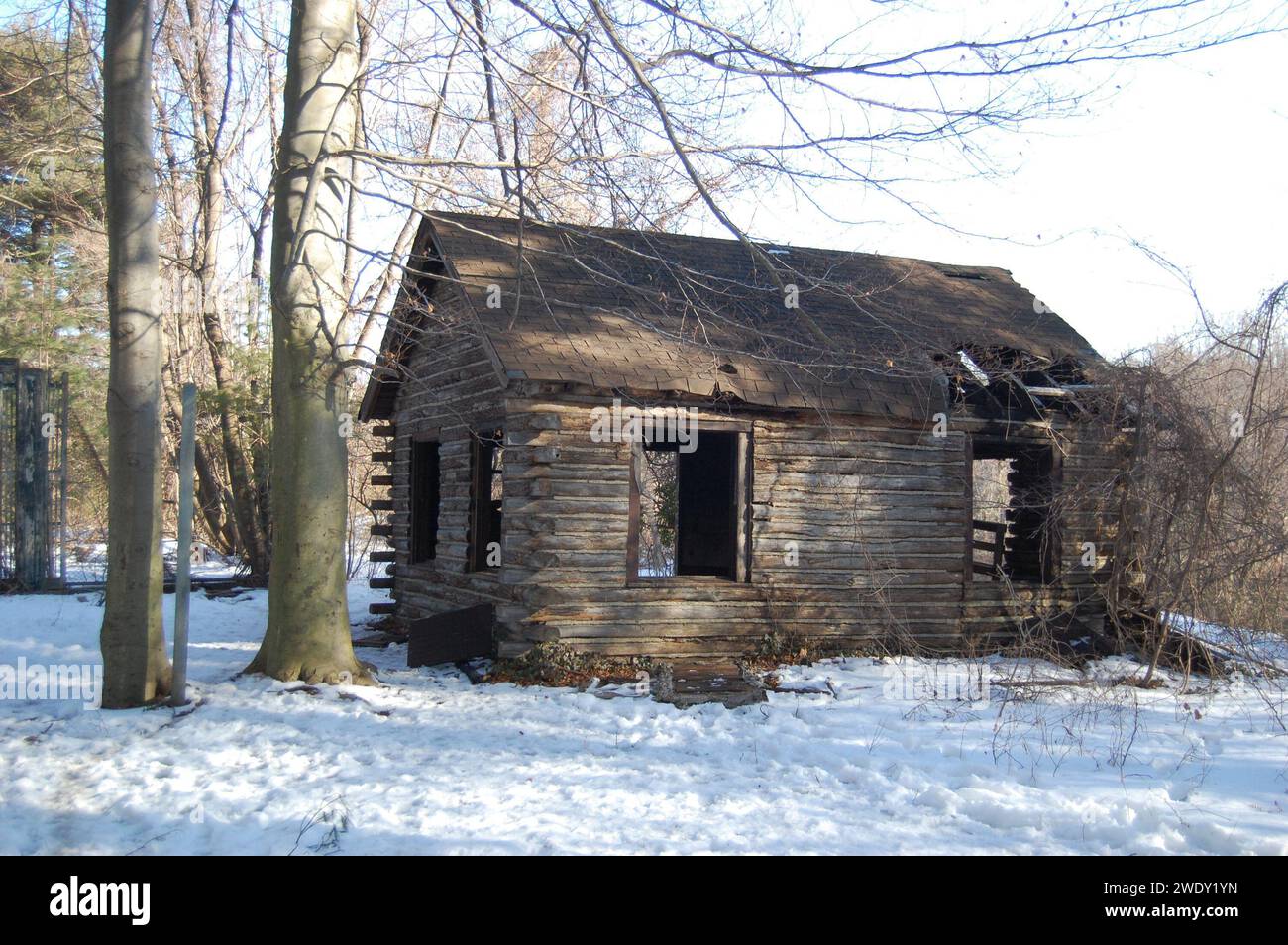 Old cabin in woods hi-res stock photography and images - Alamy