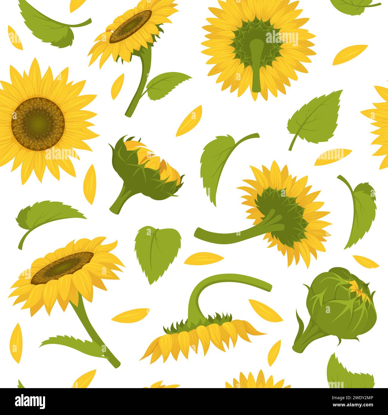 Sunflowers pattern. Colored decorative botanical seamless background ...