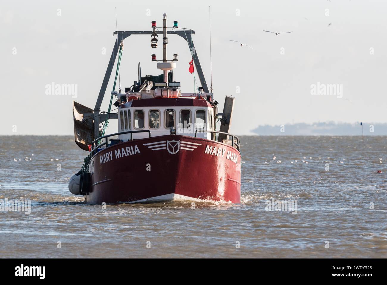 Cockle boat Mary Maria coming in to Leigh on Sea, Essex Stock Photo - Alamy