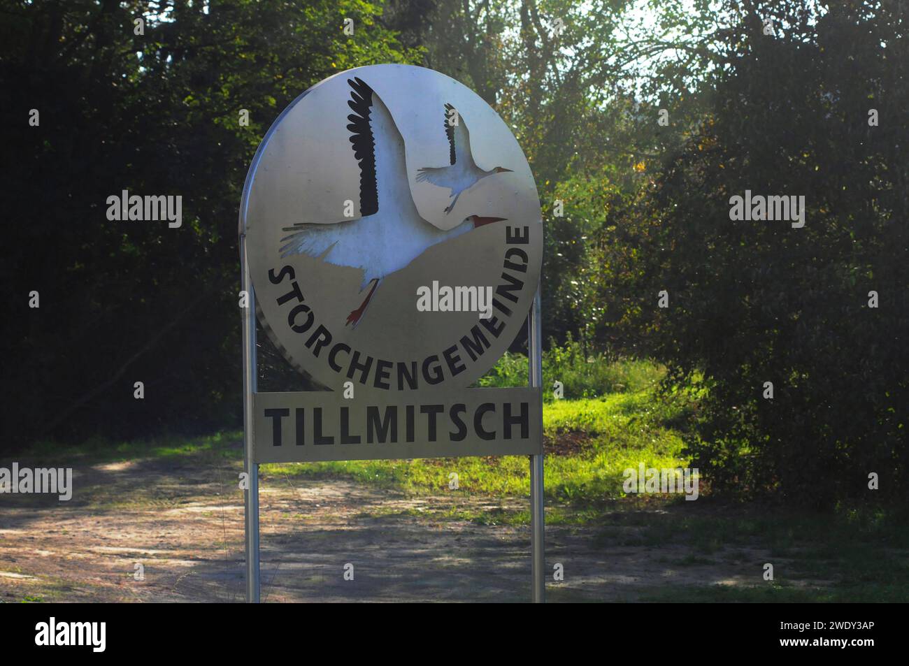 a stork is a strong symbol , a long legged wading bird a stork is a ...