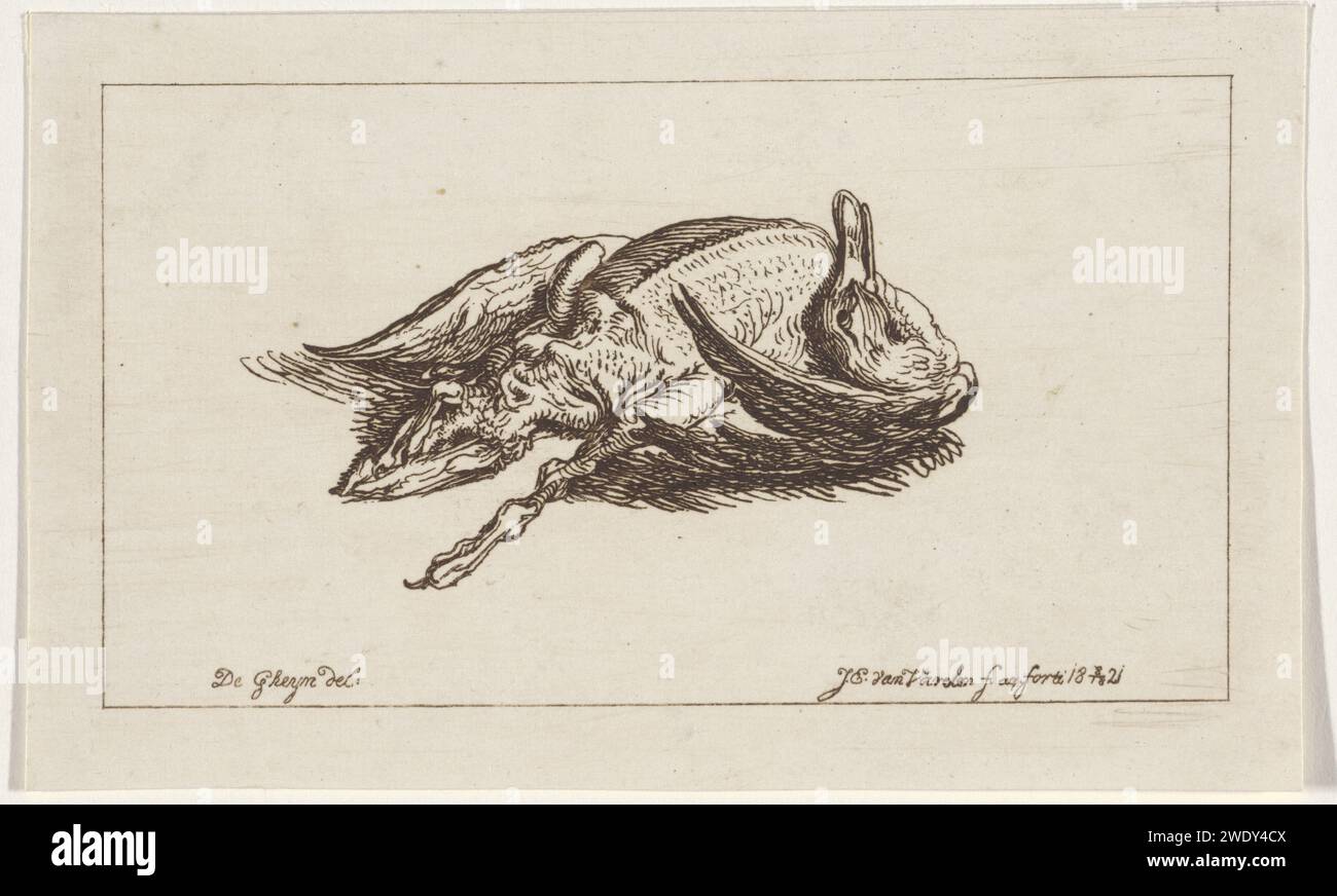 Dead Duck, Jacob Elias van Varelen, After Jacques de Gheyn (II), 1821 ...