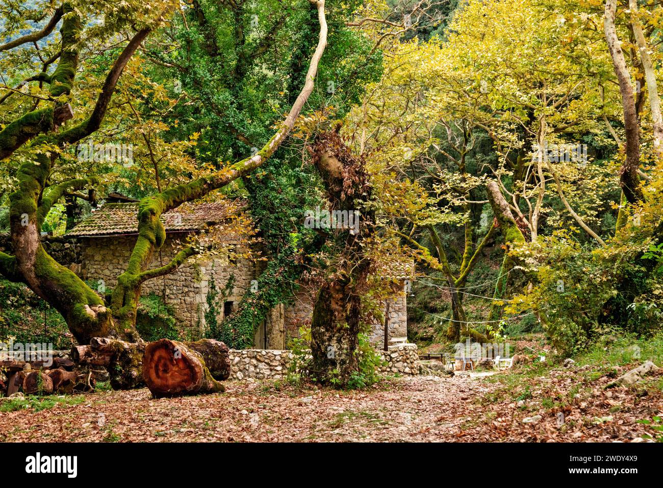 "Myli Souliou" ("Souli watermills"), Thesprotia, Epirus, Greece. There ...