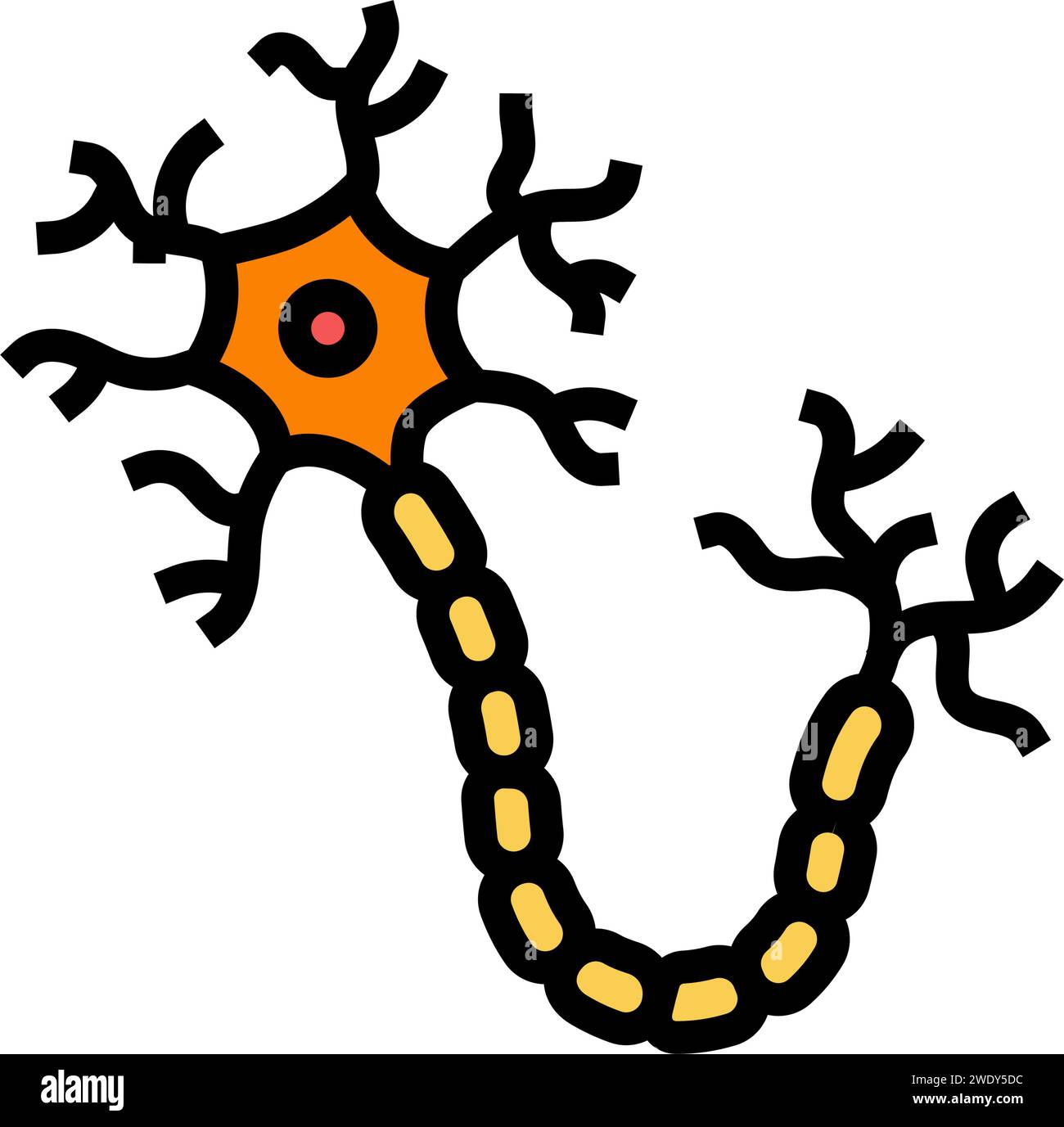 neuron structure neuroscience neurology color icon vector. neuron ...