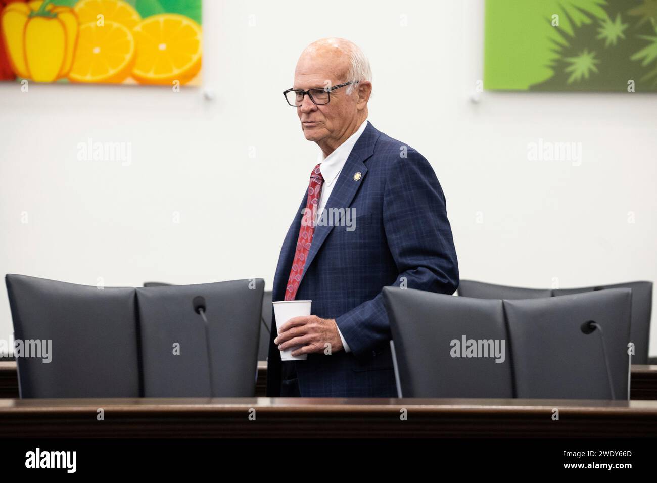 Florida State Sen. Dennis Baxley is seen during a hearing at the ...
