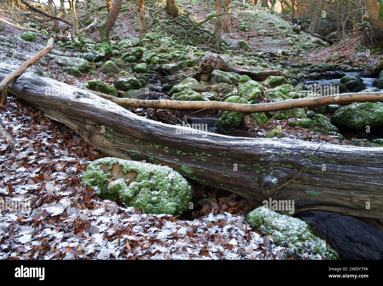 Llan hi-res stock photography and images - Alamy