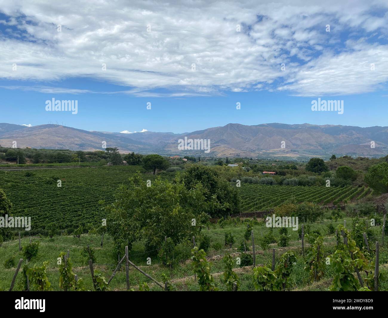 Captivating shot of Mount Etna's (Sicily/Italy) winery nestled amidst ...