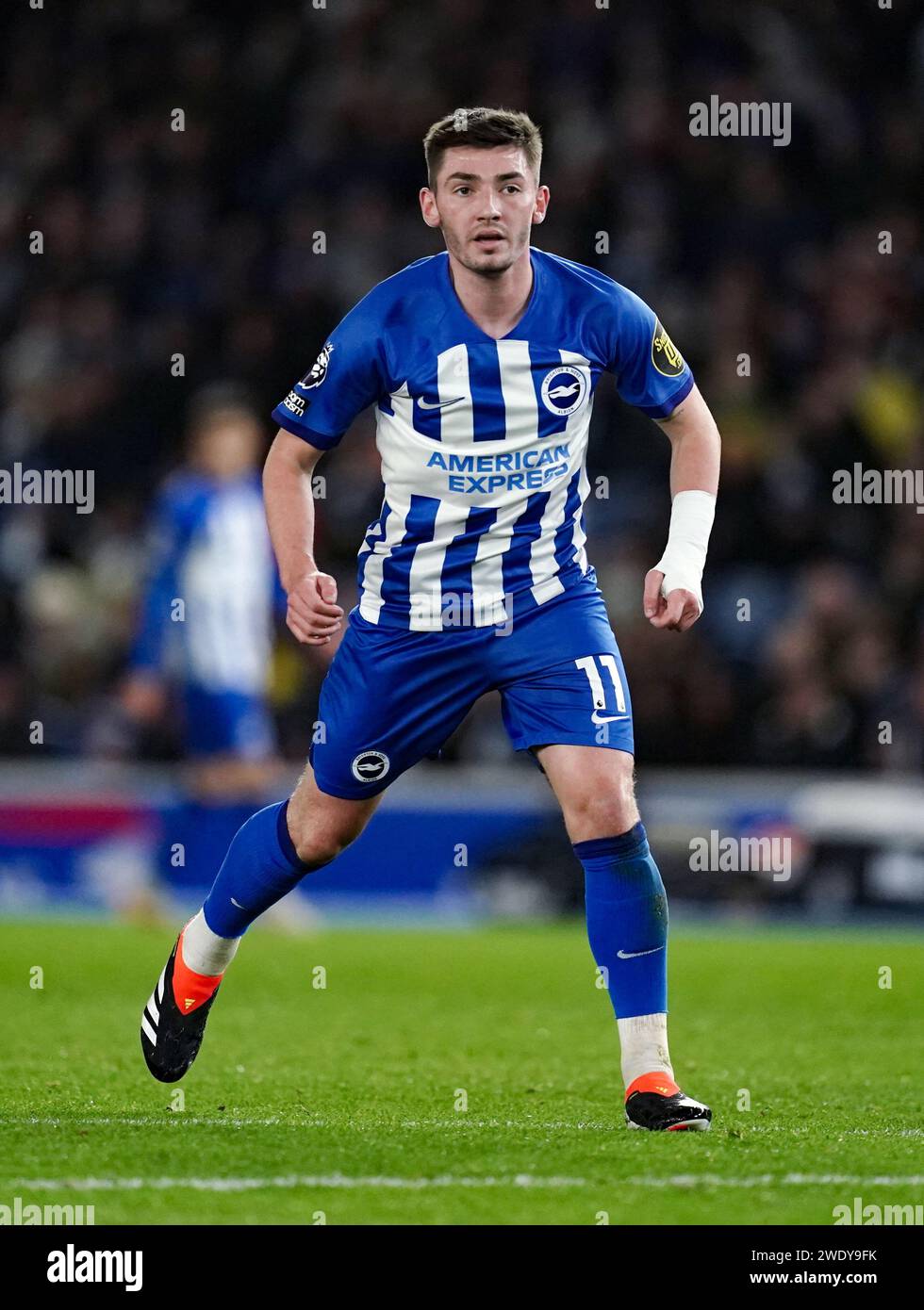 Brighton and Hove Albion's Billy Gilmour during the Premier League ...