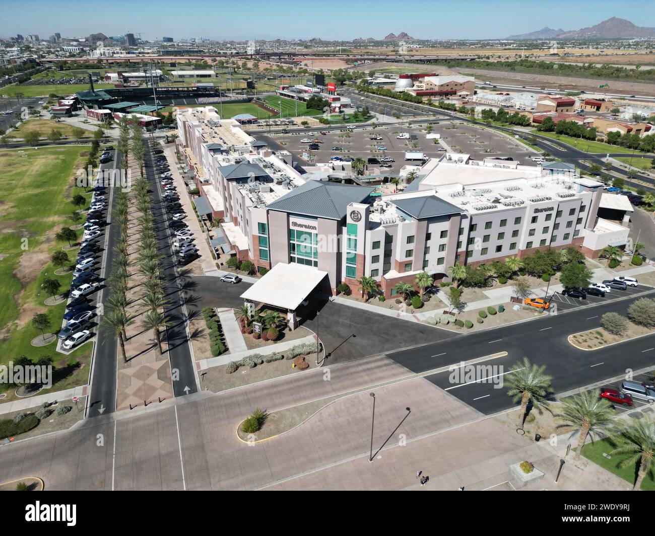 Sheraton Mesa Hotel at Wrigleyville West, Mesa, AZ, USA Stock Photo - Alamy