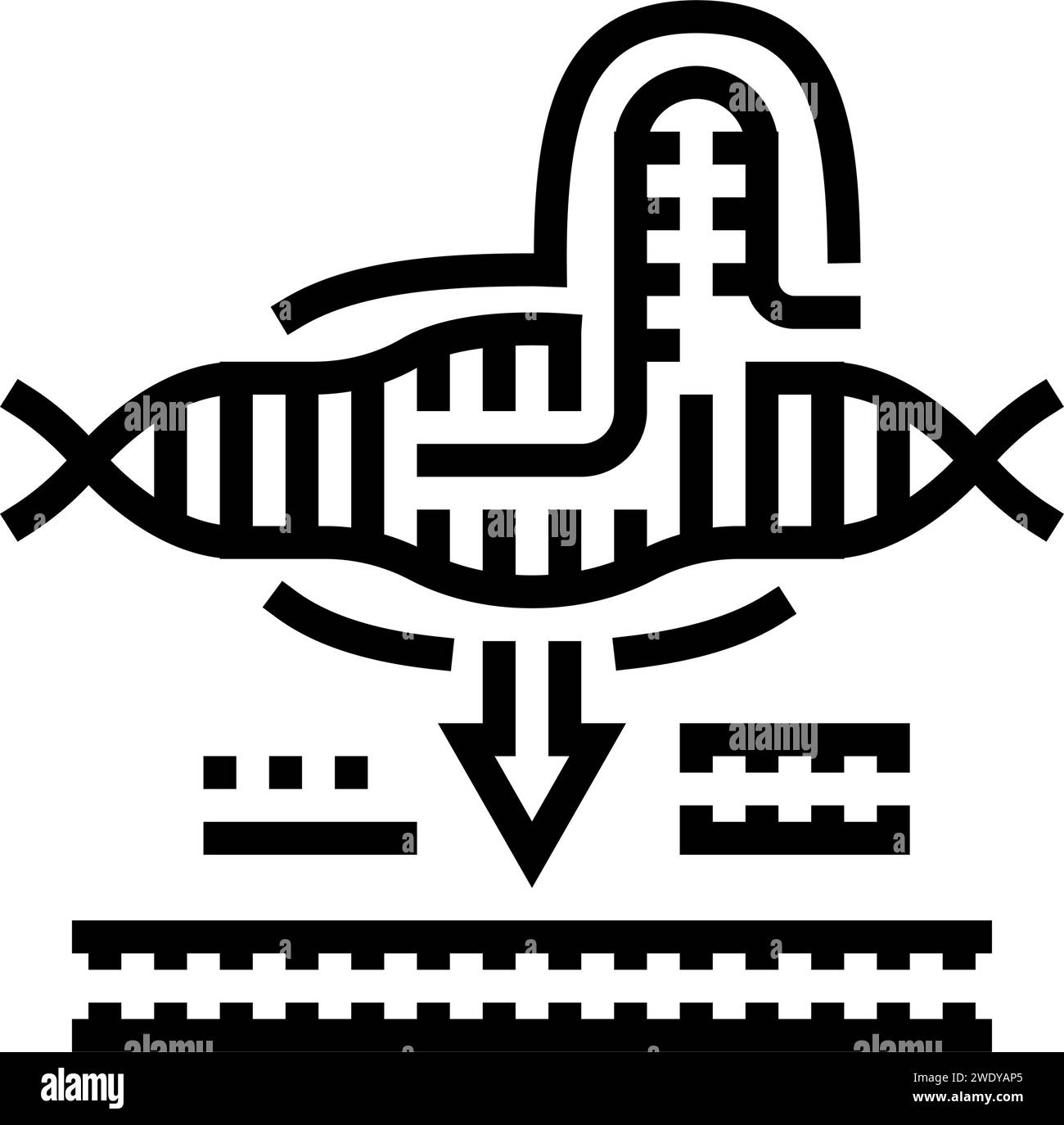 crispr casediting cryptogenetics line icon vector illustration Stock ...