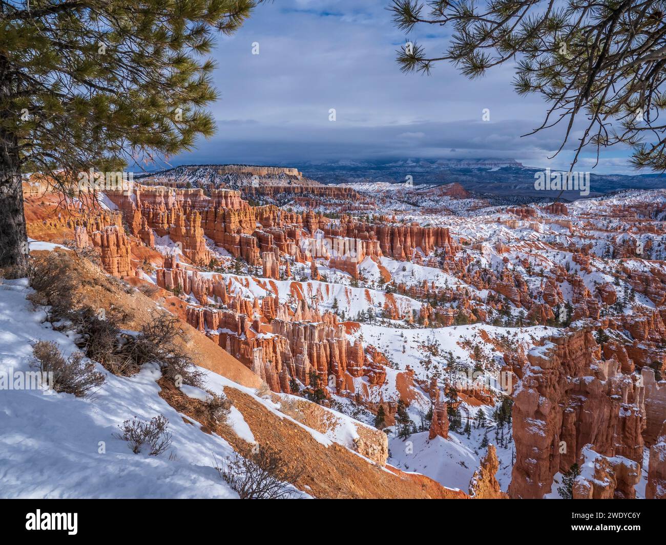 Bryce amphitheater from sunrise point hi-res stock photography and ...