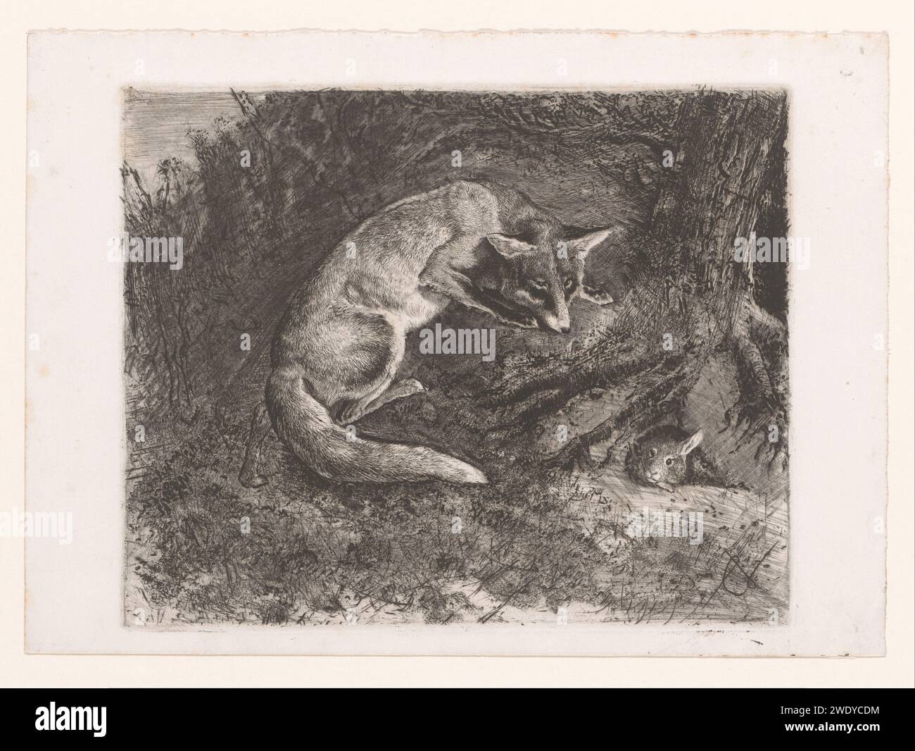 Fox hunting a rabbit, Charles Verlat, 1834 - 1890 print paper ETCHING ...