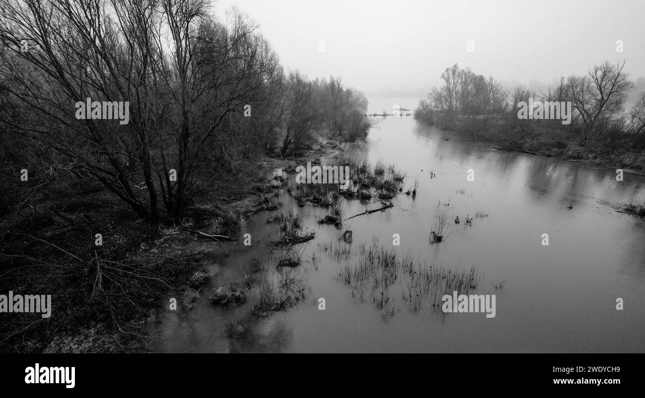Black and white landscape with wid river, trees and bushes Stock Photo ...