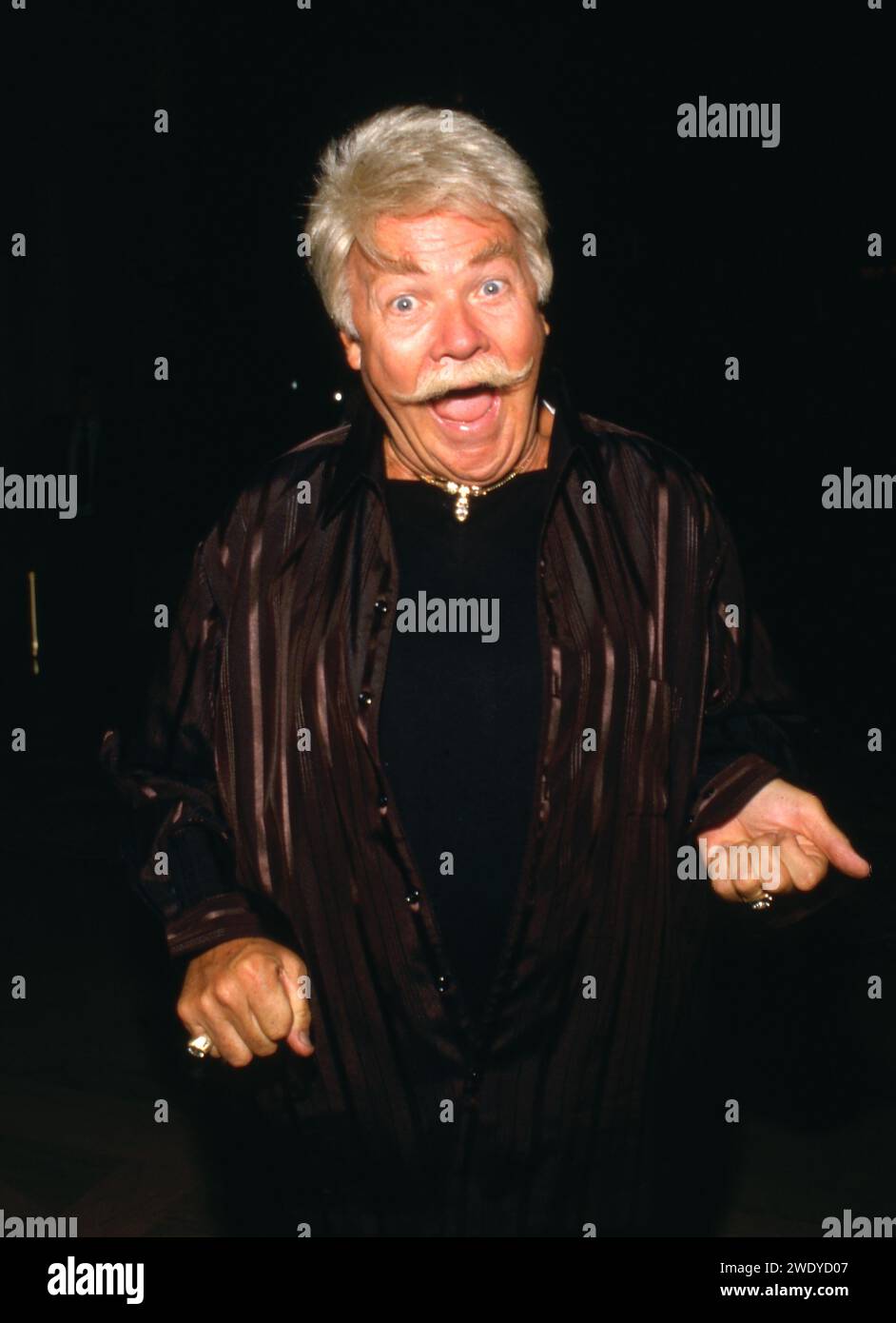 Rip Taylor Circa 1980's Credit: Ralph Dominguez/MediaPunch Stock Photo ...