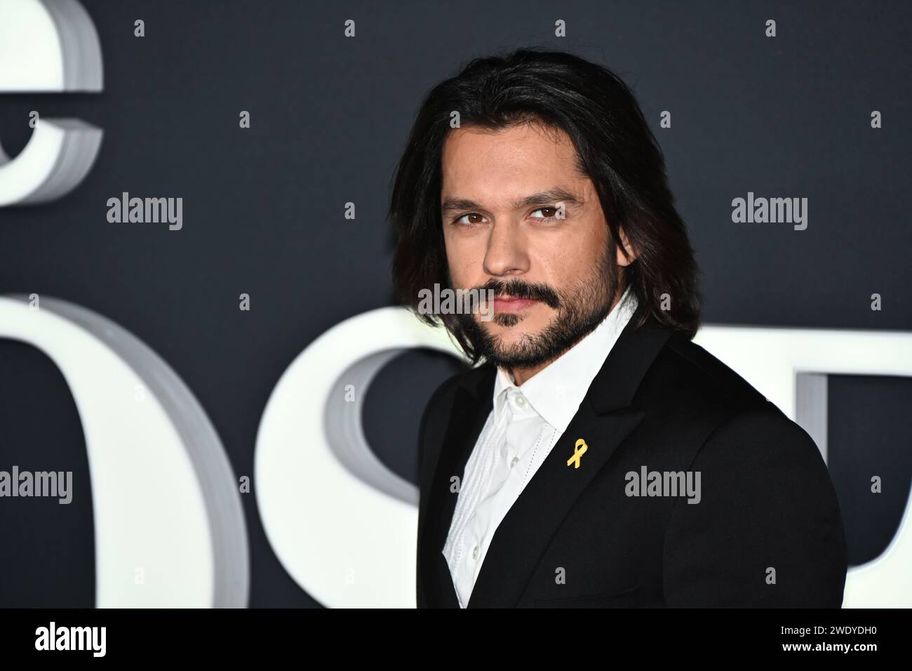 London, UK. 22nd Jan, 2024. Shahar Isaac attends the Global Premiere of ...