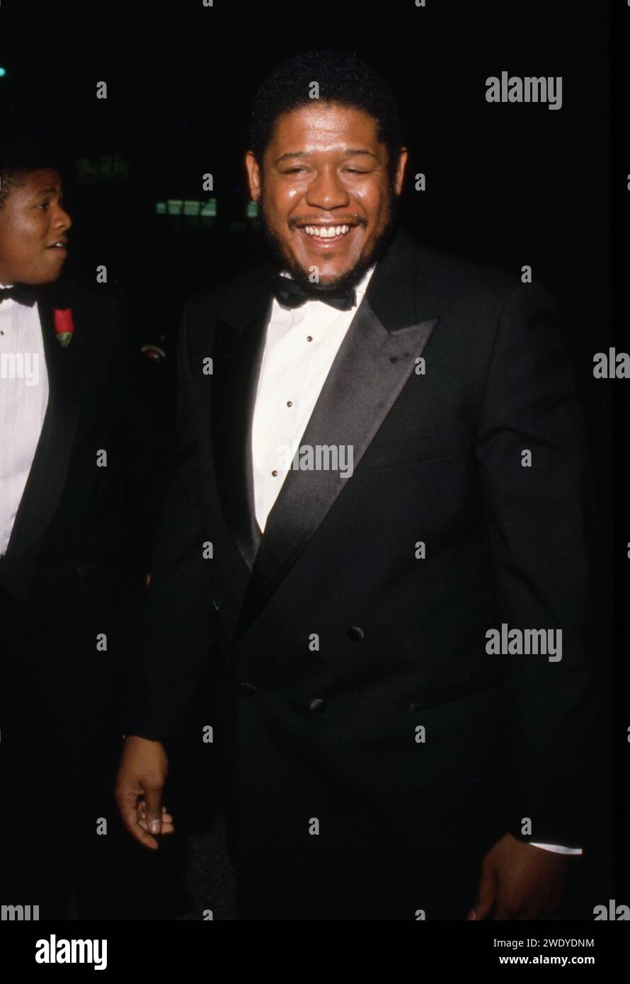 Forest Whitaker January 1989 Credit: Ralph Dominguez/MediaPunch Stock ...
