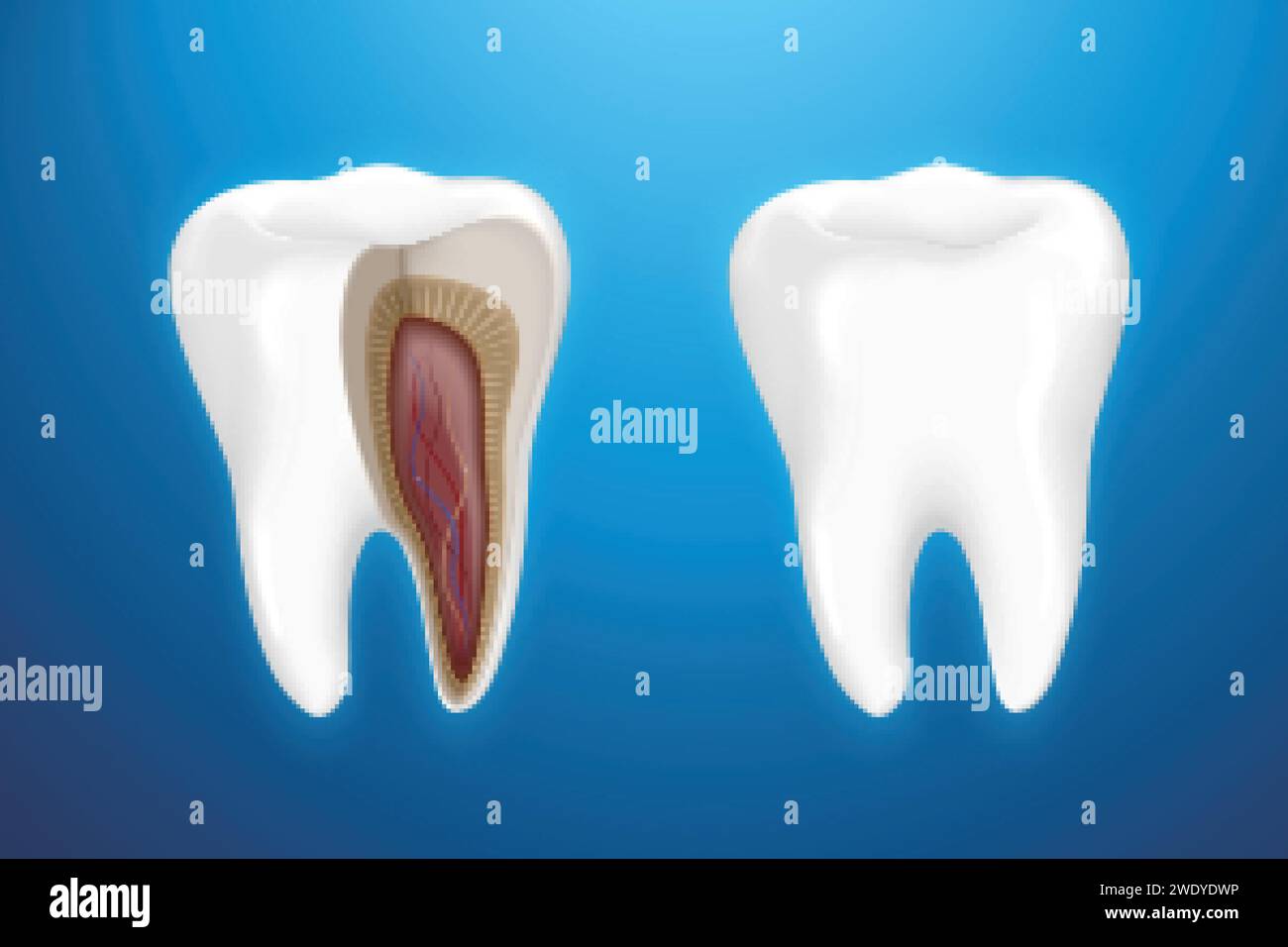 Circle tooth Stock Vector Images - Alamy